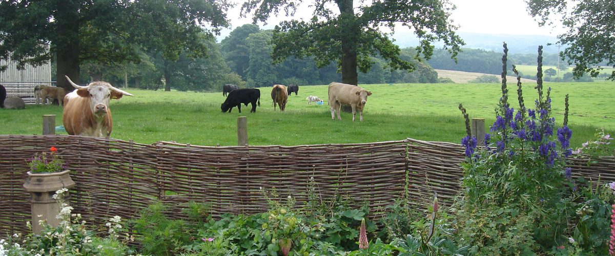 Prices and Bookings - Yew Tree Farm Congleton Bed and Breakfast ...